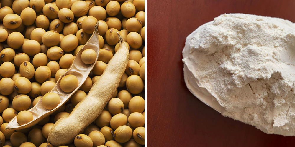 What is Soy Protein Isolate and Soy Fiber - Xinrui - Shandong Kawah Oils